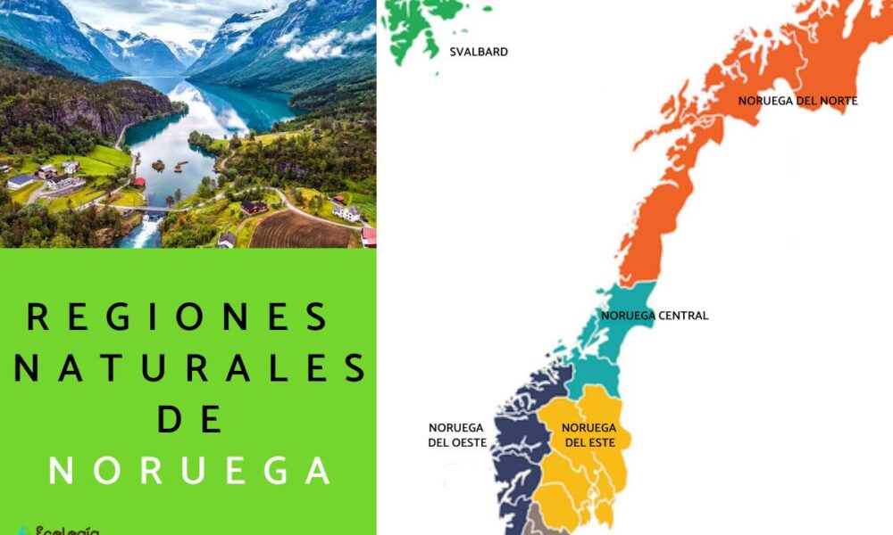 Los 10 Mejores Destinos Turísticos en Noruega Que Debes Visitar ...